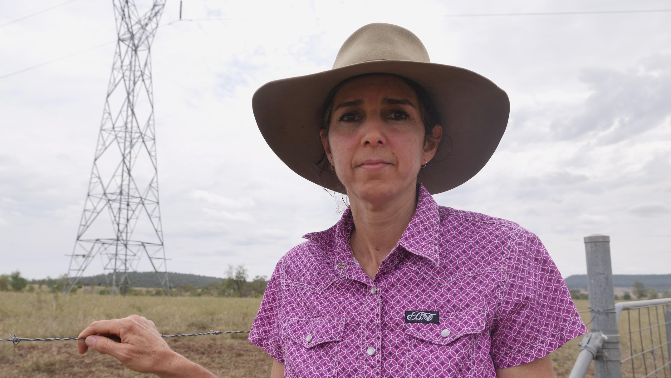 New large-scale battery approval laws in Queensland draw mixed reaction