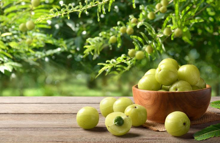 12 everyday foods Indian families relied on to boost immunity