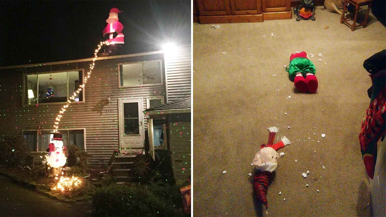 20 photos from If the Grinch Stole Christmas