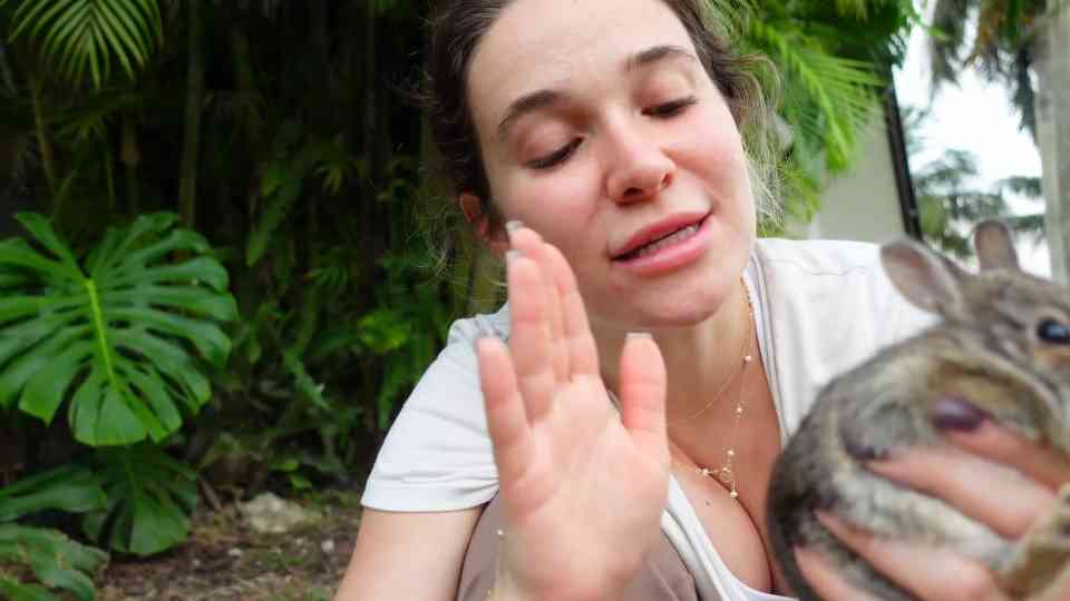 The critical questions rescuers face after finding a solitary baby bunny