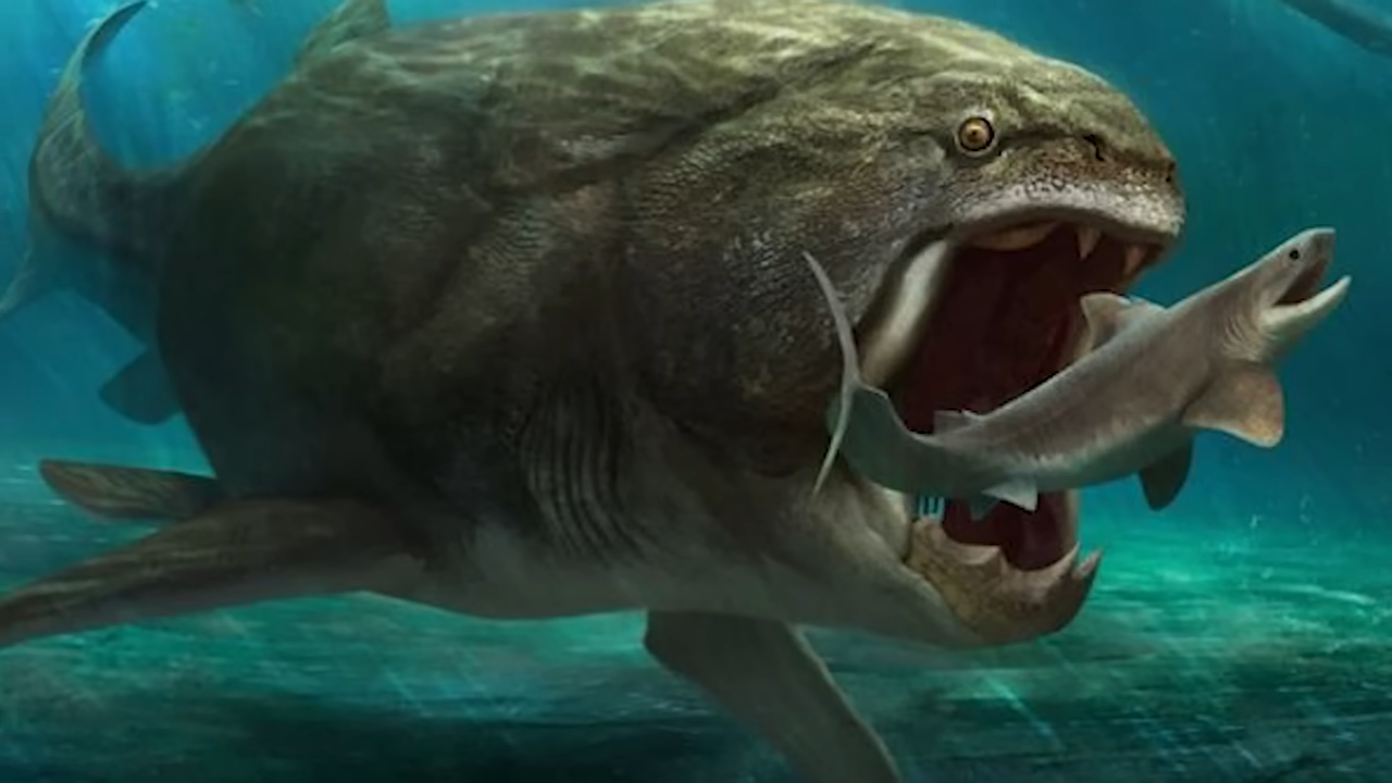 How an armored marine powerhouse reshaped life in the early oceans