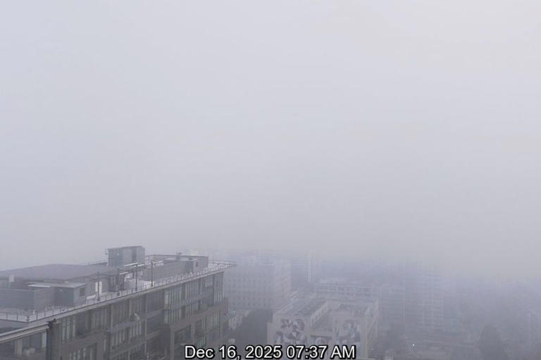 California hit with 400-mile 'radiation fog' as LA residents left ...