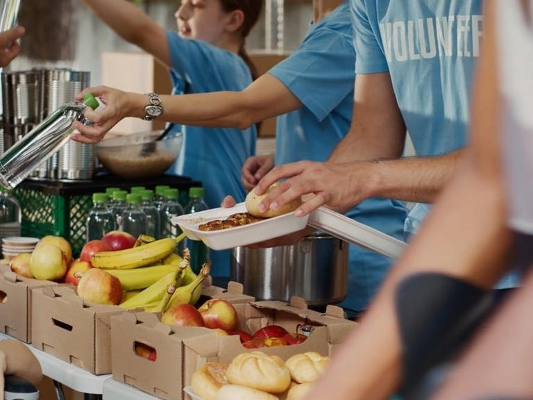 Make lasting holiday memories with these 5 volunteer opportunities in ...