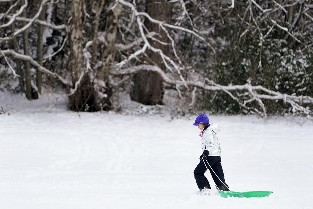 Quebec school insurers set new sledding hill standards