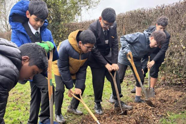 School grows 100-metre hedgerow to protect grounds and encourage ...