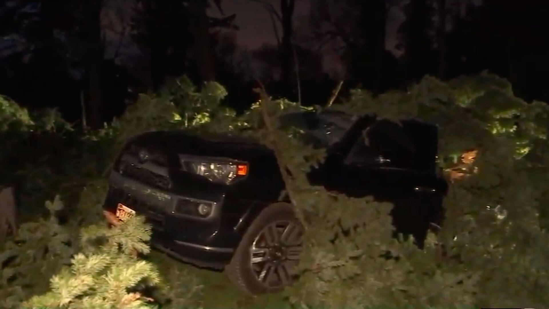 Video of tree falling on car in Canby surpasses 40,000 views
