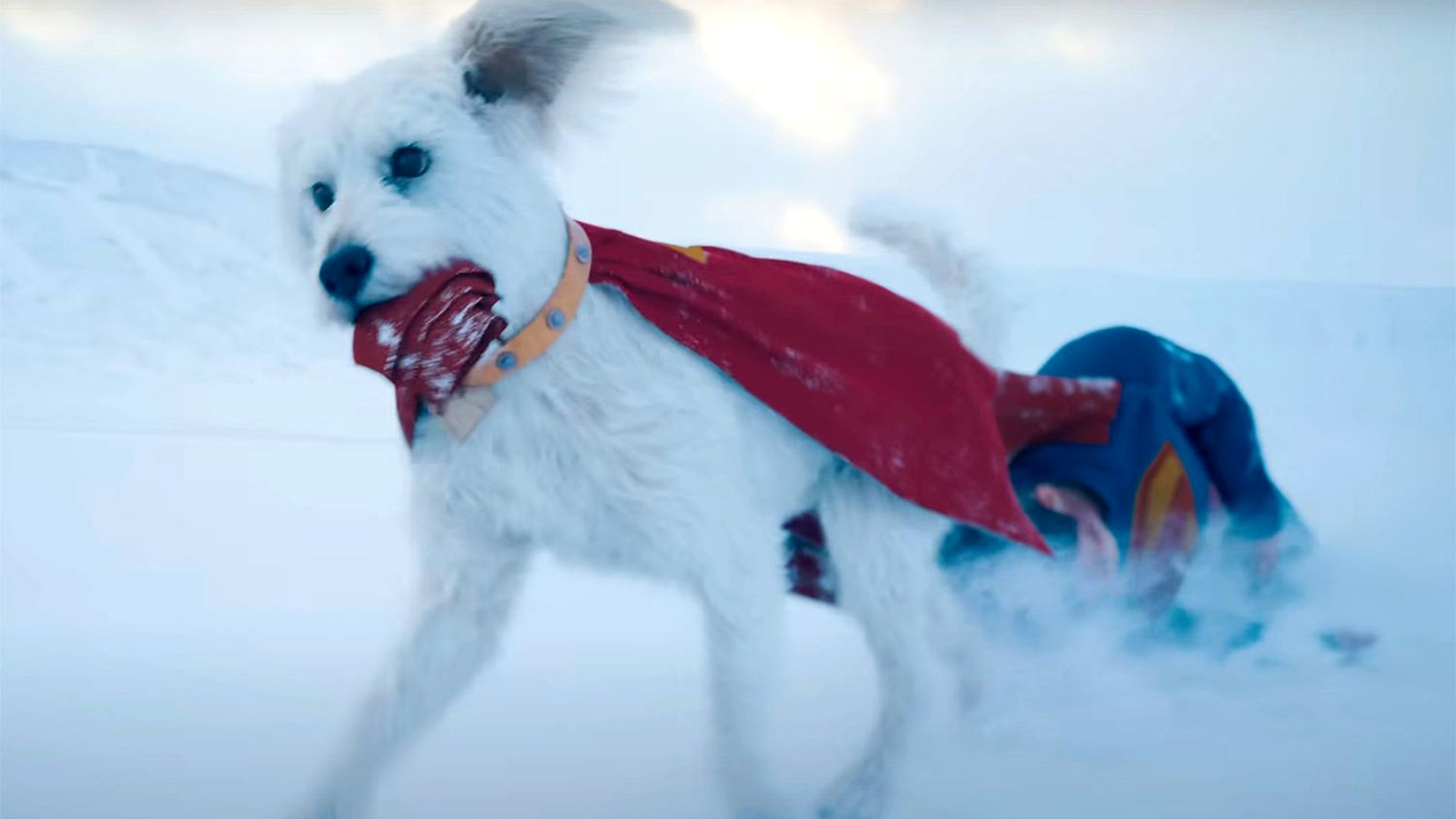 James Gunn explains how Krypto's Supergirl return is different from his ...