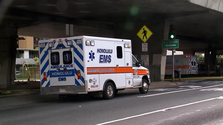 Man falls out of moving car in Windward; pedestrian struck, seriously ...