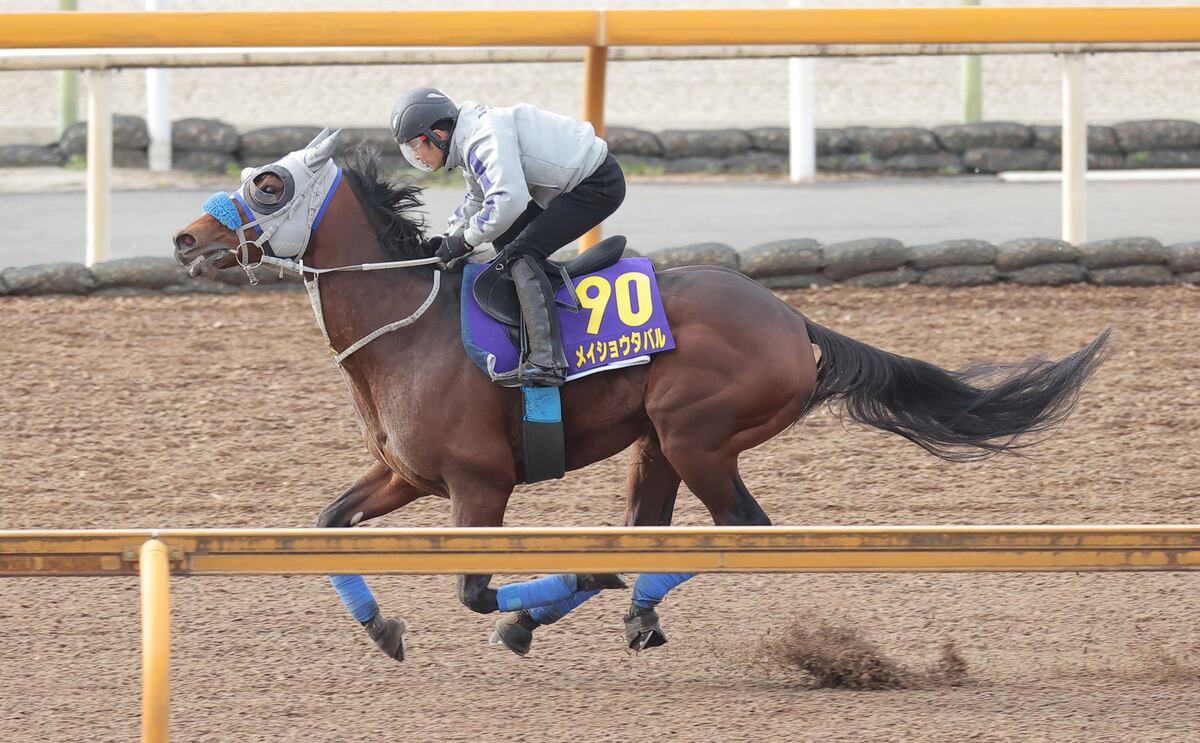【有馬記念 1週前追い切り】メイショウタバルはCW79秒8の好時計 石橋師「以前よりも抑えが利いていますね」