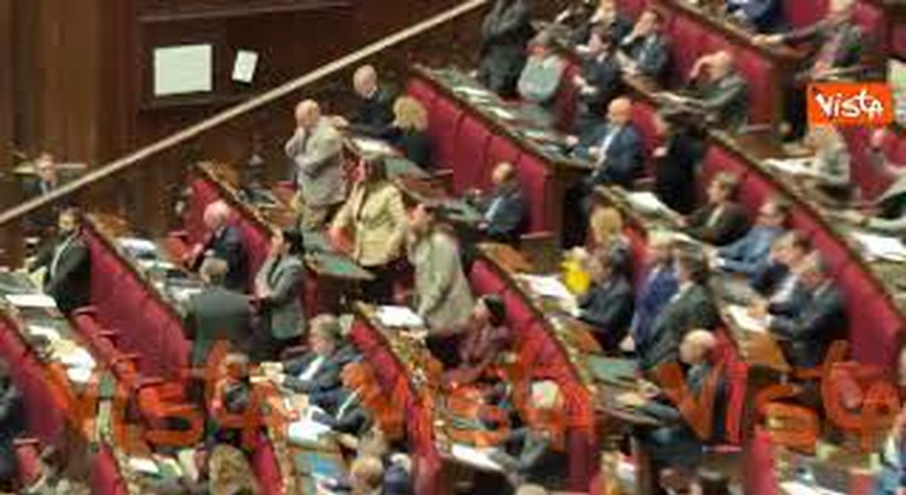 Bagarre in Aula durante intervento Bignami. Applausi da banchi FdI ...
