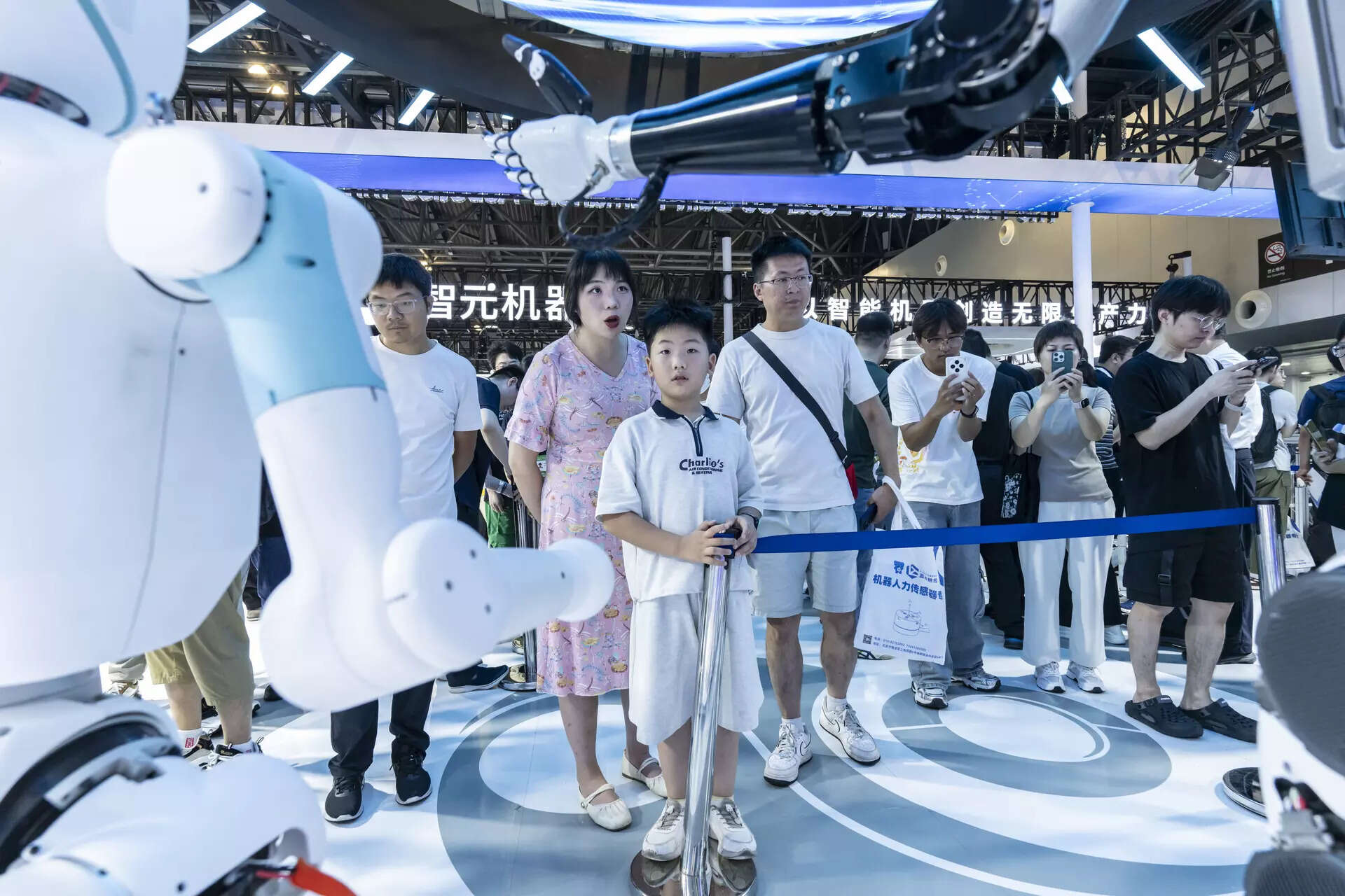 Does China have a robot bubble?