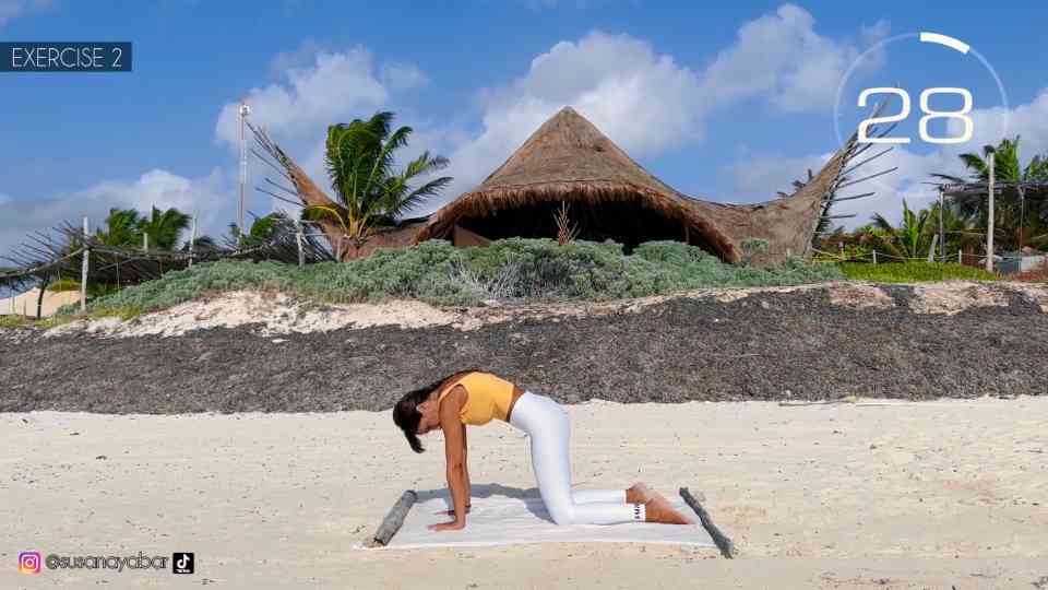 Basic stretches for after training and to avoid injury