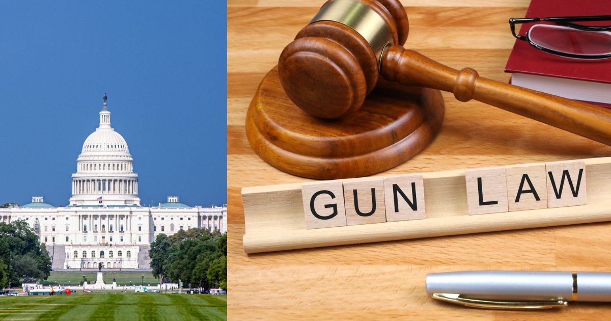 Trump administration takes Washington DC to court in major Second ...