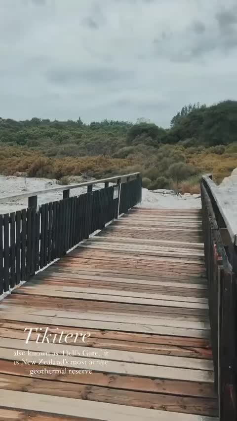 Exploring Hell’s Gate in New Zealand! 🔥 on shore excursion with ...