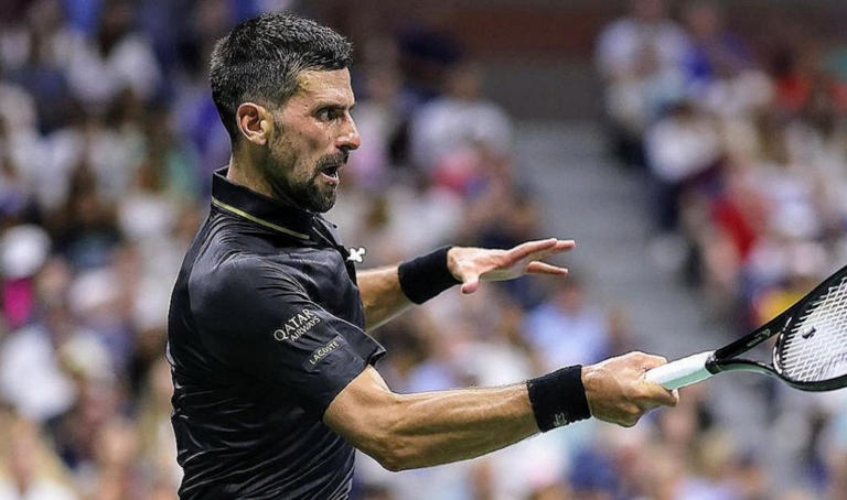 Andy Roddick poses important Novak Djokovic question for 2026