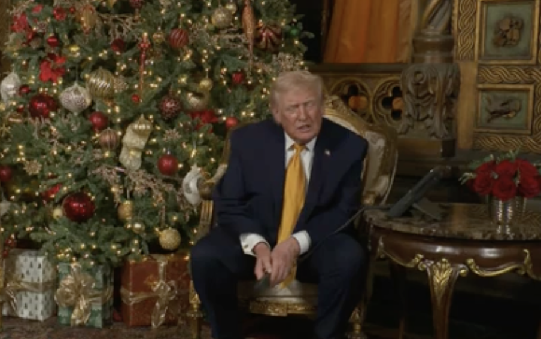 'We definitely need more high IQ people in the country': Trump insults ...