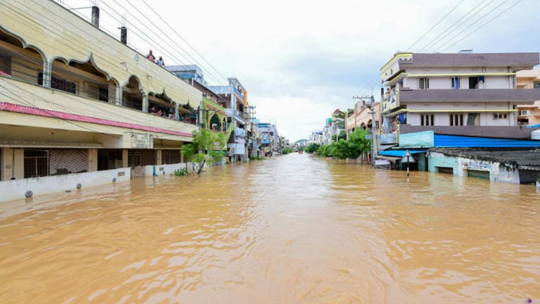 Telangana conducts first-ever disaster response mock exercises