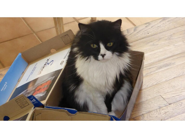 🌱 Patch AM: Maddy Smith and 10 more events