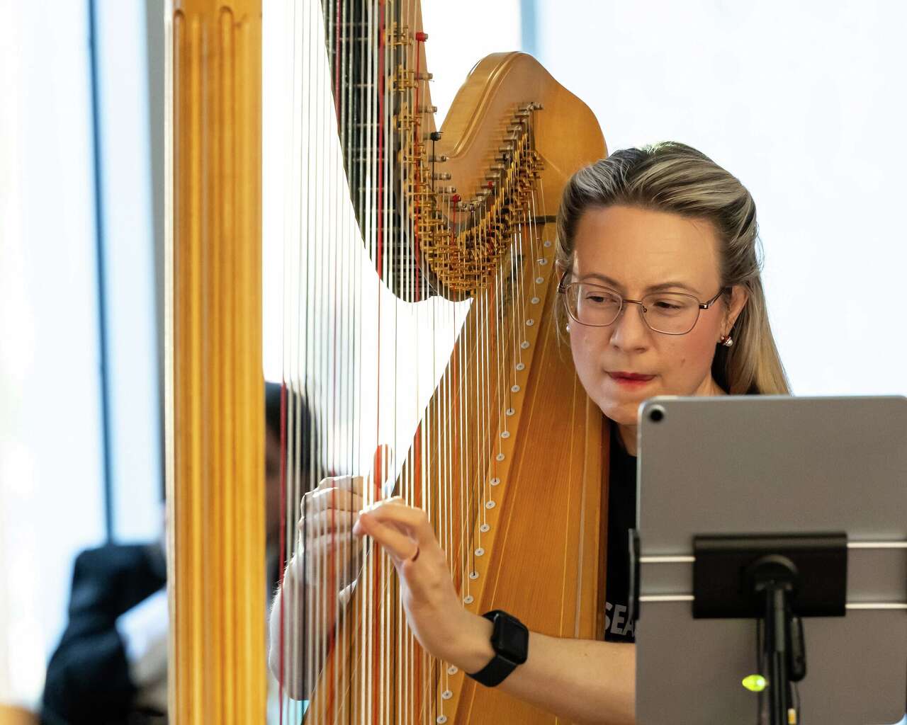 Duo da Capo cap off Round Rock's Hometown Holiday concerts at library