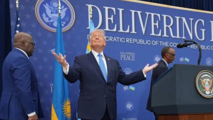 US judge upholds Trump’s steep H-1B visa fee in blow to business lobby