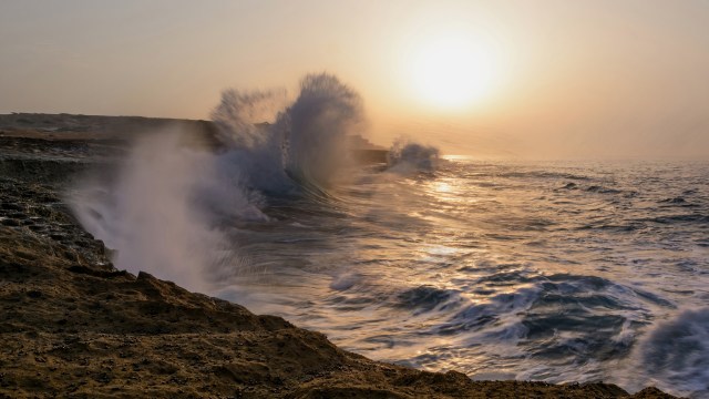 Experts issue warning after dead creature washes up on beach: 'Silent ...