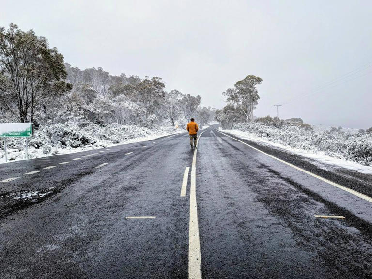 Aussies wake to rare Christmas snowfall
