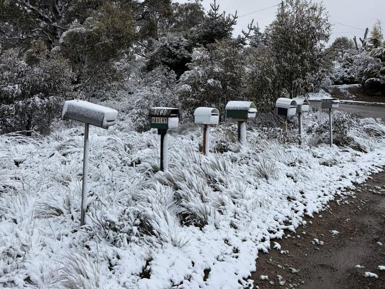 Aussies wake to rare Christmas snowfall