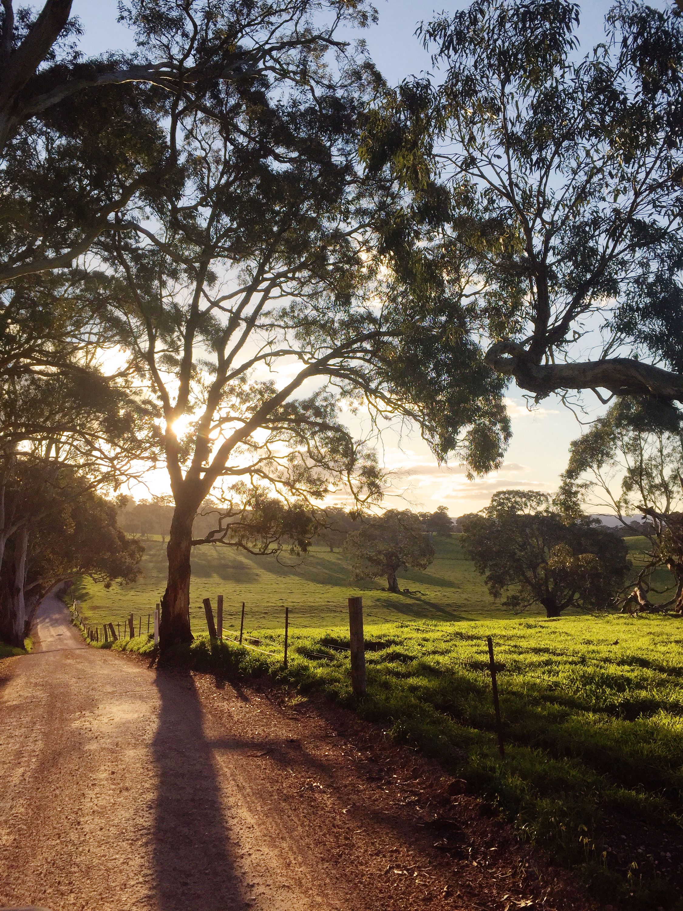 In Australia's Clare Valley, a new 6-day trail connects historic ...
