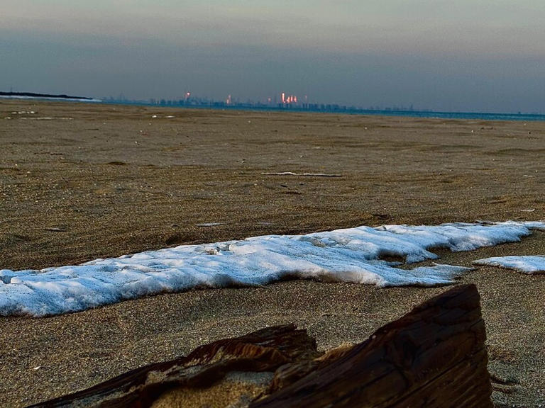 🌱 Patch AM: IMA primary care, urgent care thanks those who donated to ...