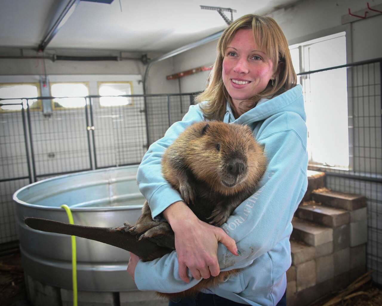 How a one-eyed beaver named Bo is spreading the word about wildlife ...