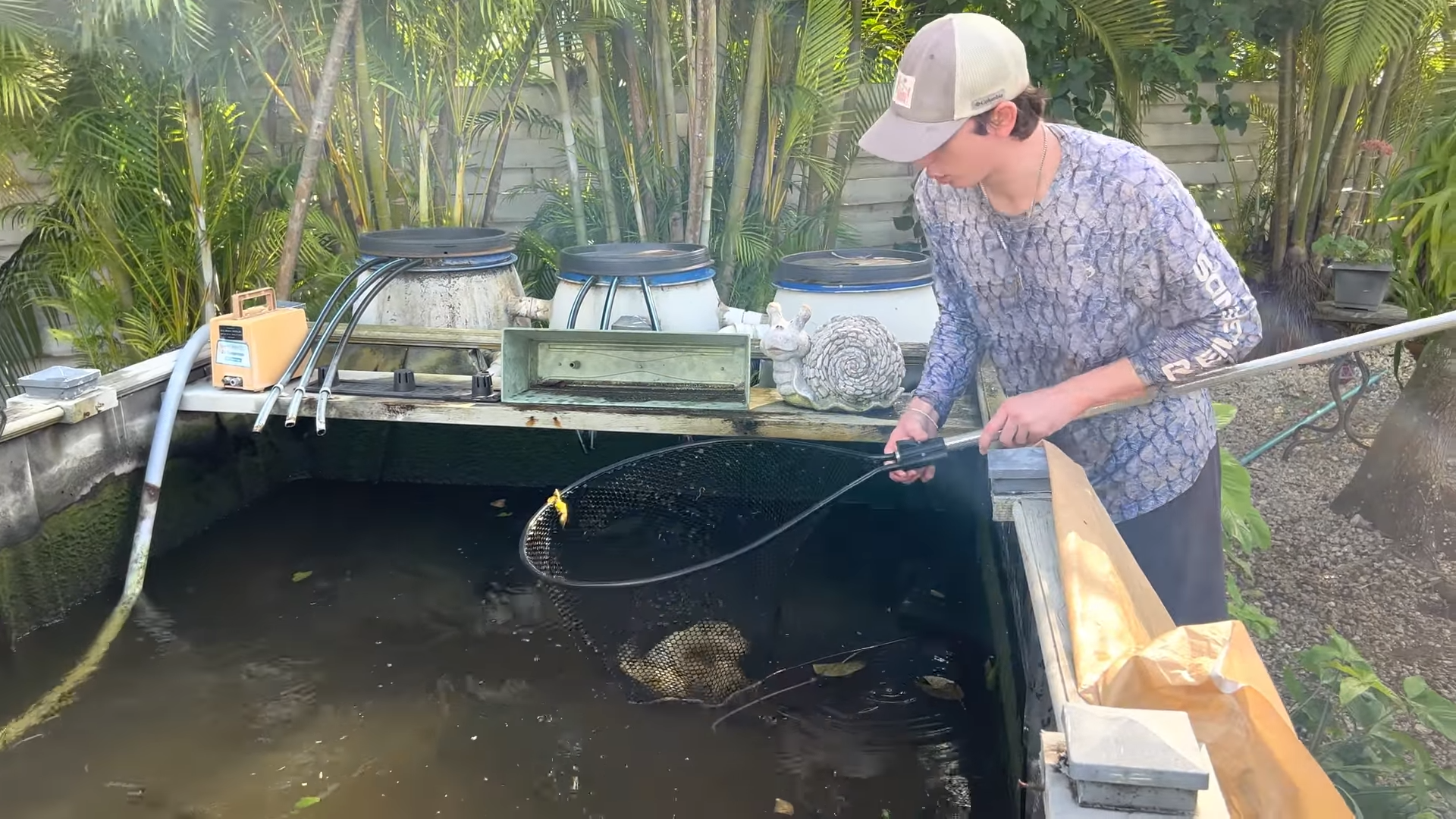 Saving rare albino alien fish from a pond set for destruction