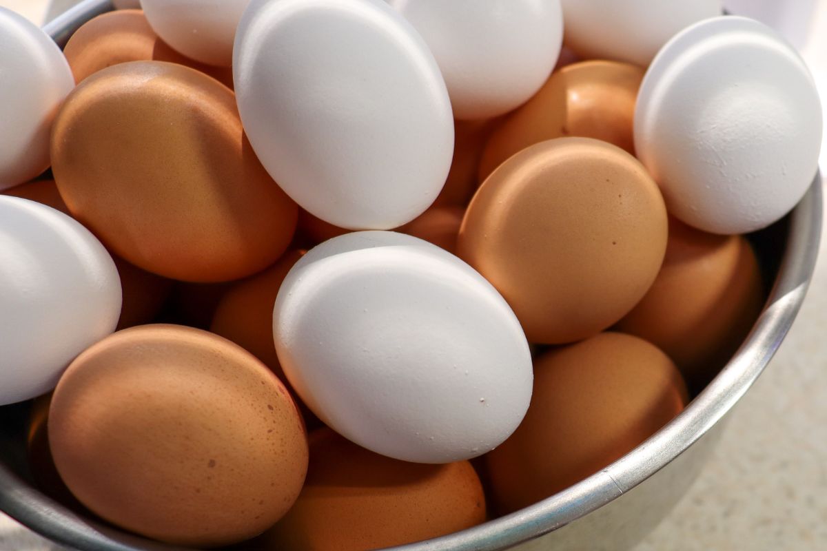 Lepsze białe czy brązowe jajka? Wiele osób nie ma o tym pojęcia