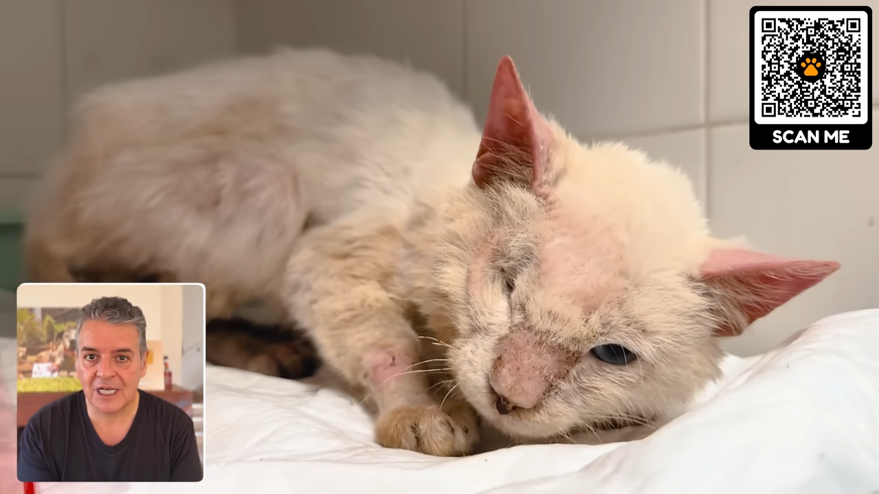 They thought the worst was over - it wasn’t