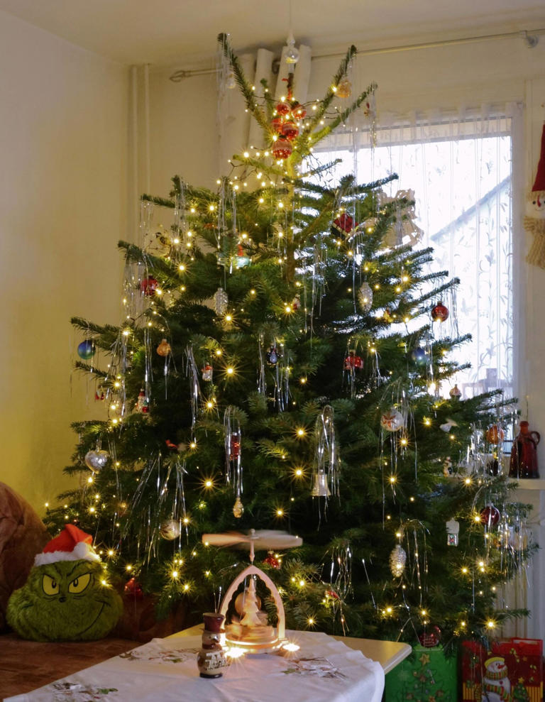 Von klassisch bis bunt: MAZ-Leser zeigen ihre Weihnachtsbäume