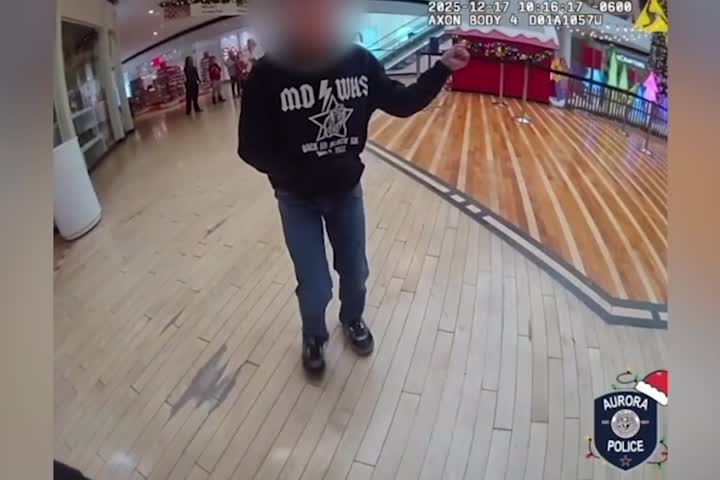 Grinch 'arrested' for stealing Santa's presents