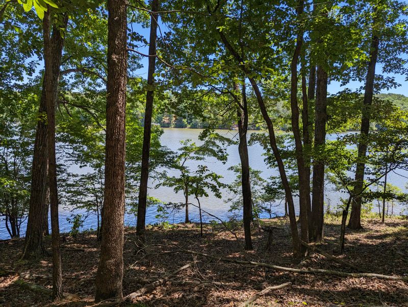 This low-key state park in Georgia offers a calmer experience than most ...