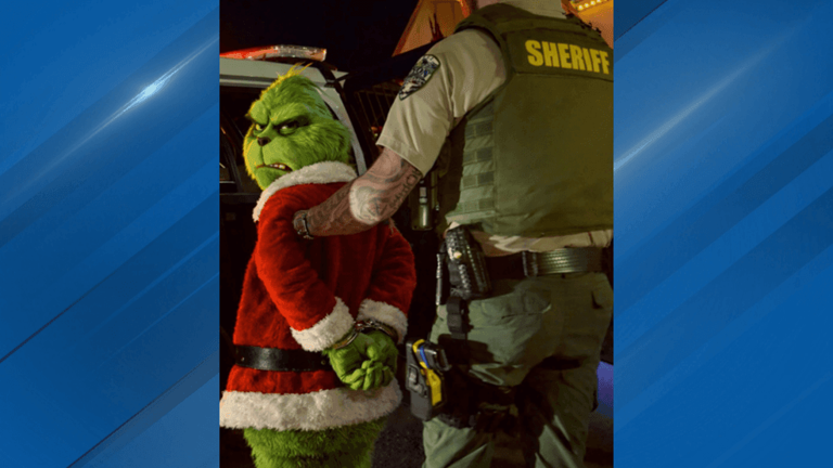 Green-haired suspect 'The Grinch' caught in Lyon County for string of ...