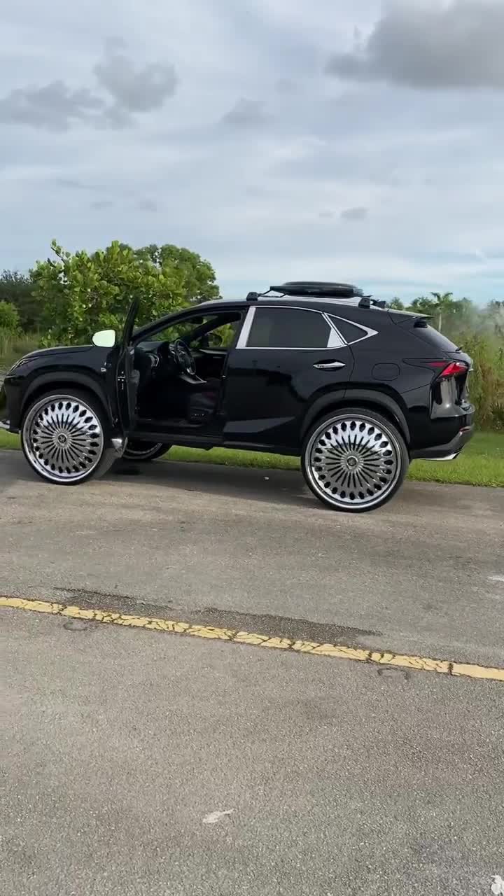 Lexus NX on 30's DUB floaters
