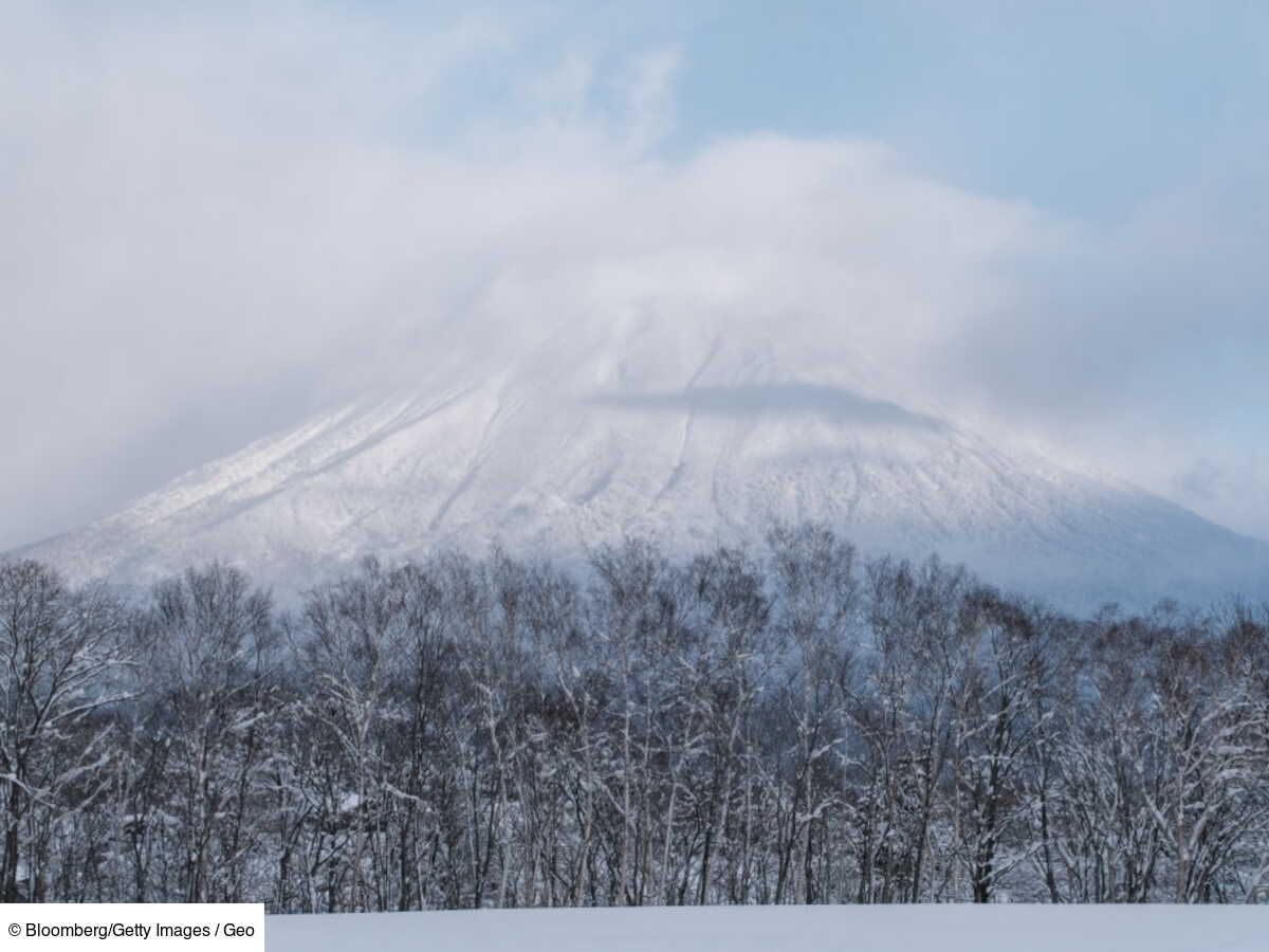 Les « juhyo », « monstres de neige » japonais, sont menacés par le ...