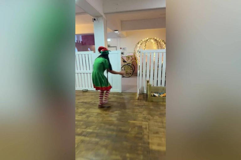 Staffie rips Santa's beard off during Christmas event leading to 10 ...