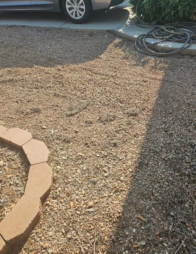 Homeowner outraged by neighbor's thoughtless behavior: 'Am I out of line?'