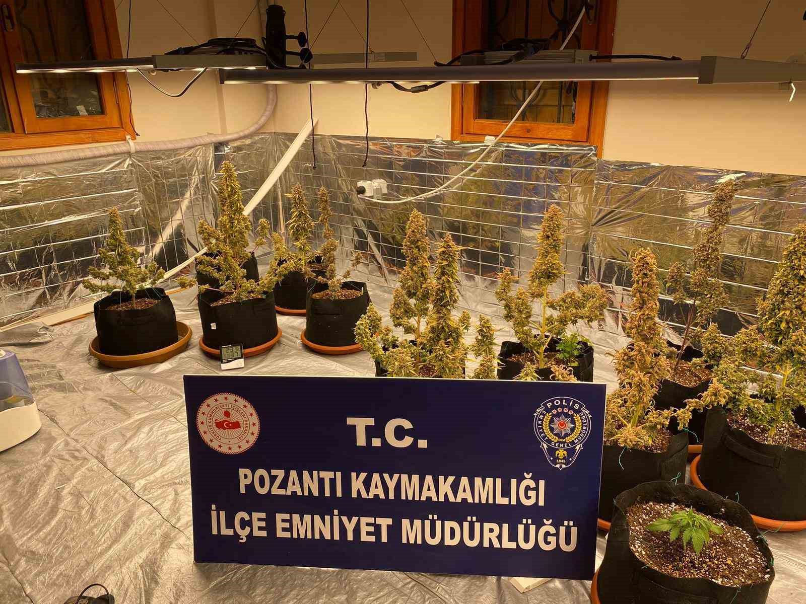 Villada uyuşturucu yetiştirmişler: Torbacı sevgililer yakalandı, 4 kilo ...