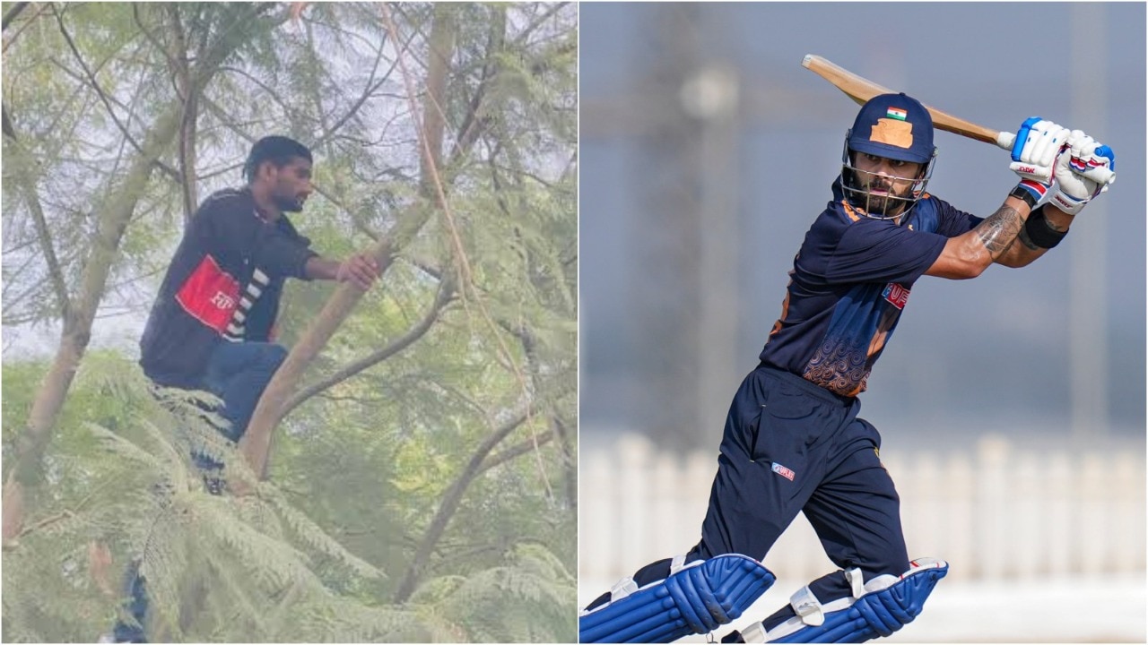 Vijay Hazare Trophy: Virat Kohli fans climb trees in Bengaluru to watch ...