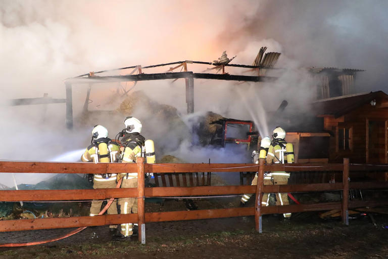 Durch Feuer Zu Vernichten