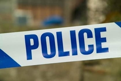 Three left with 'potentially life-altering' injuries after Audi crashed ...