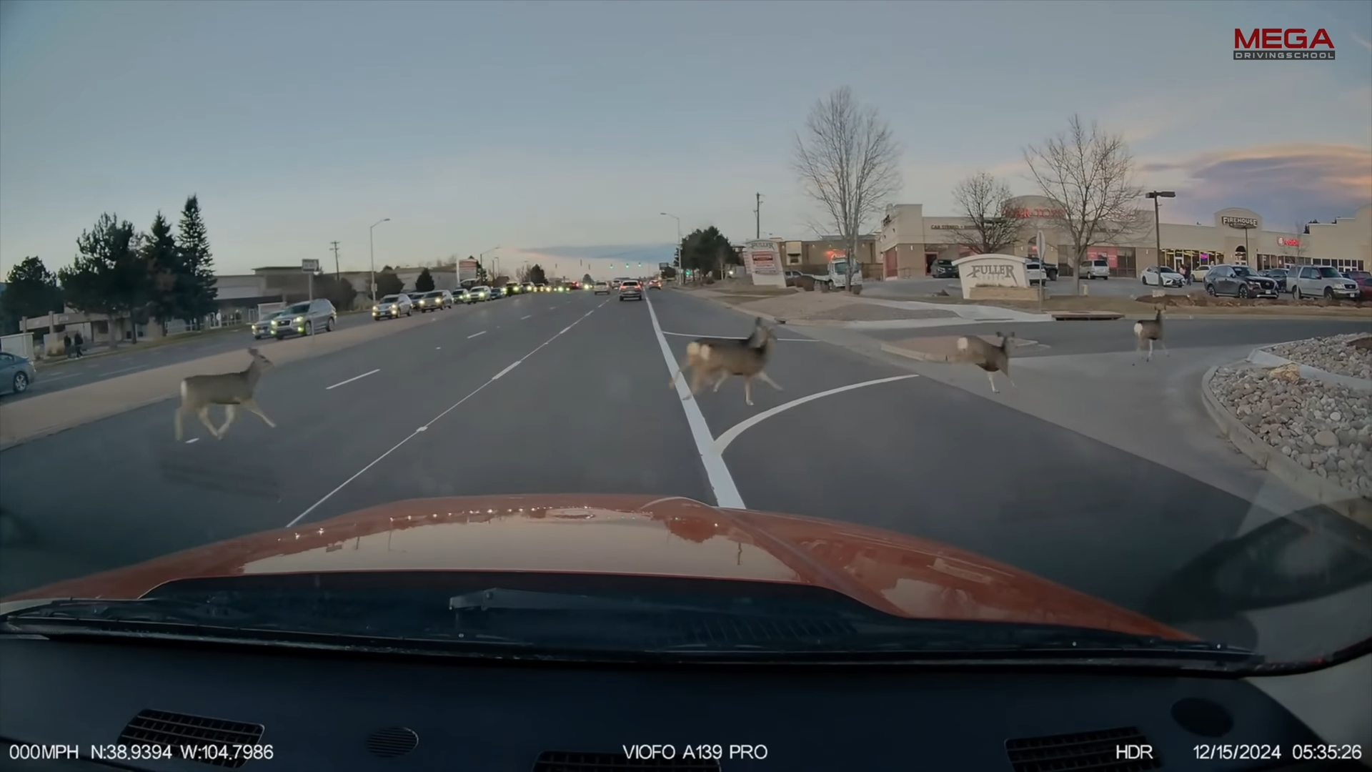 Crazy moments on the road caught on camera