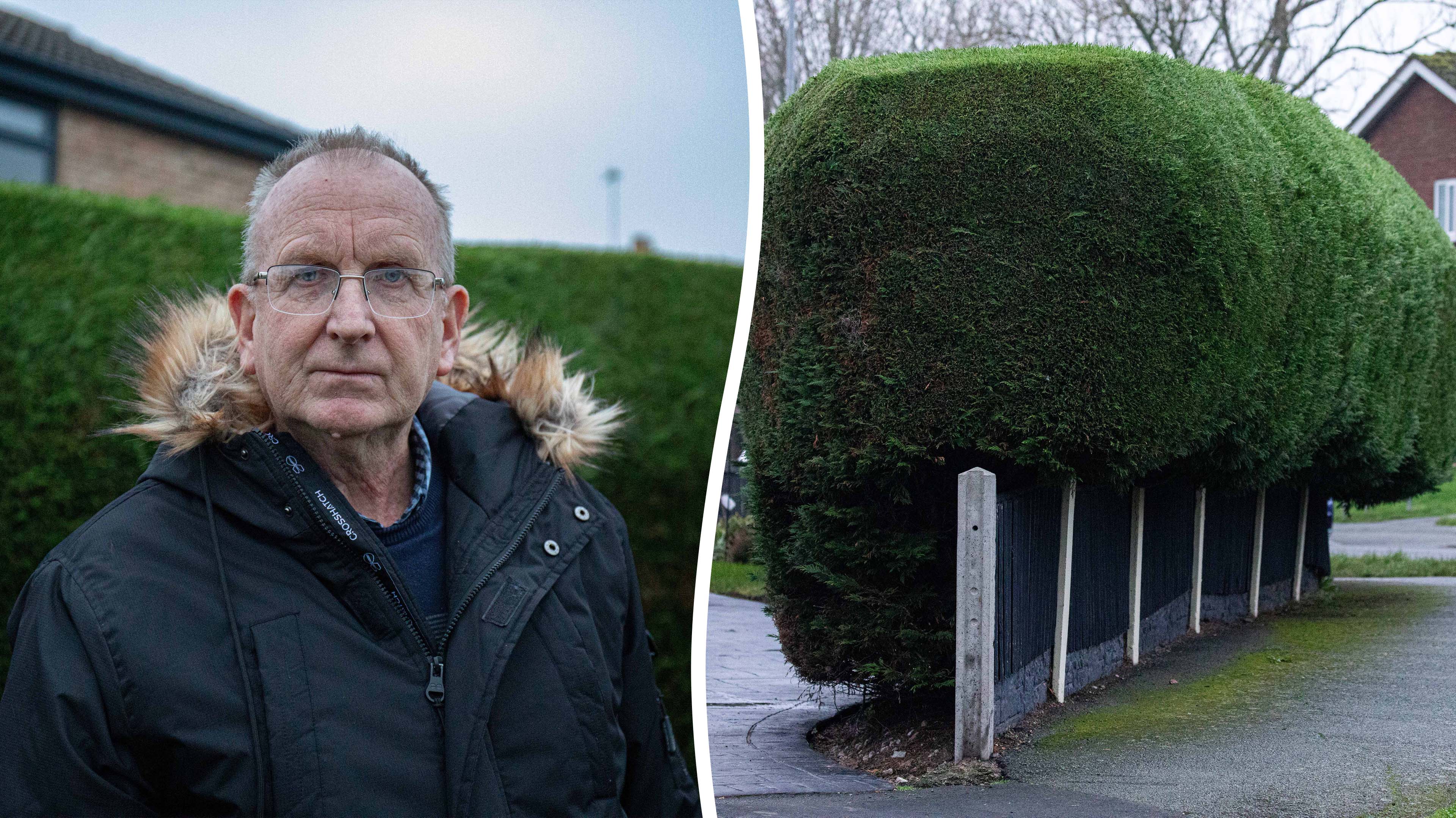 Council orders grandad to cut hedge after 'nosy neighbour' complaint