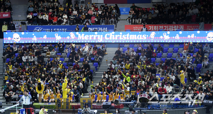 Cheering for the volleyball court on Christmas