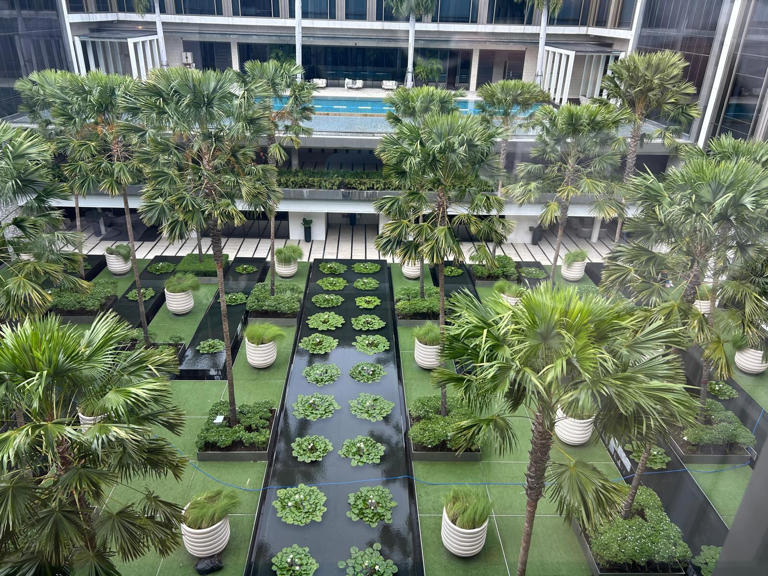 My 12-year-old son enjoyed 'best day of his life' on family trip to ...