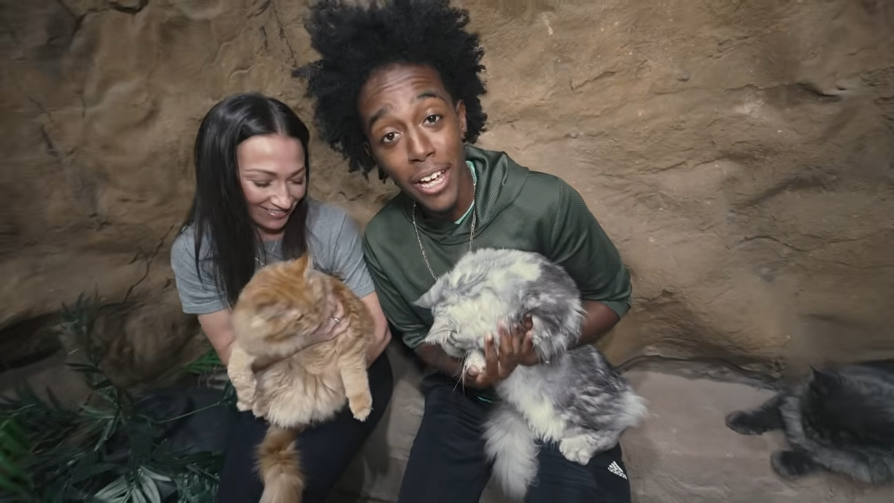 What happened when our Maine Coon kittens took their first bath